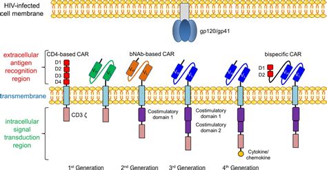 Infectious Diseases And Immunity