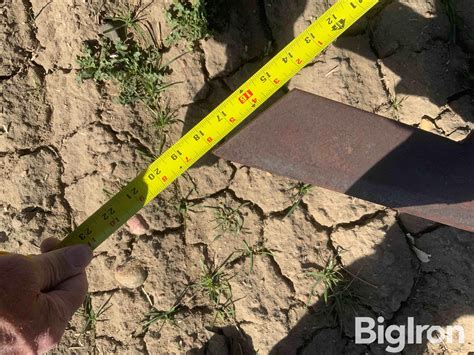 Hoeme Chisel Bigiron Auctions