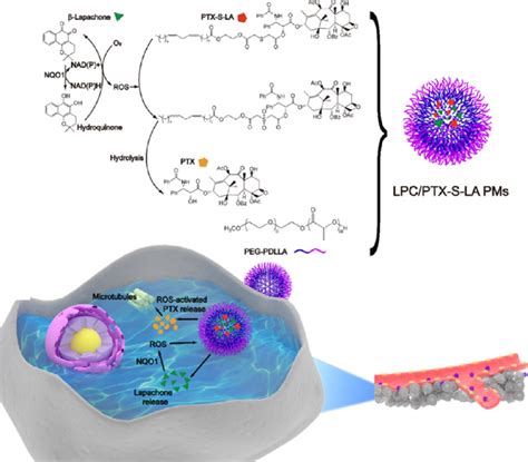 Oxidation Activable Prodrug Based On Thioether Linkers Schematic