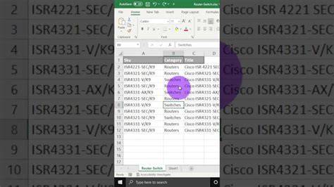 Excelskills Data Filter Shortvideo Sikandar Hayat
