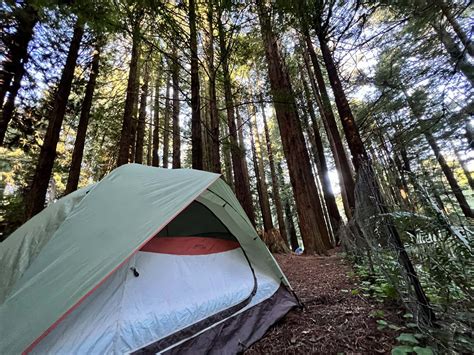 5 Day Redwood National Park Itinerary Best Hikes Lodging And Tips