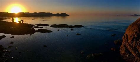 Matlab科研数据可视化详解 知乎