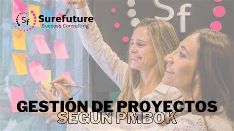 Gestión De Proyectos Según Pmbok Guía Esencial Para El Éxito