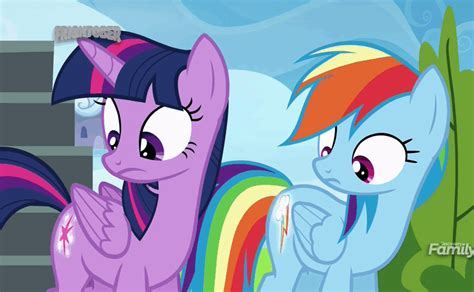 Princess Twilight Sparkle And Rainbow Dash