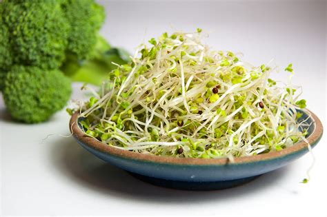 Broccoli Sprouts Recipe For Health And Gut Support