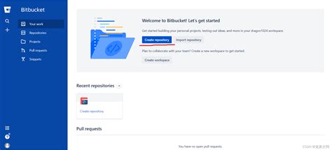 Bitbucket安装配置 Csdn博客