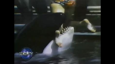 Orca Attack Of Annette Eckis Youtube