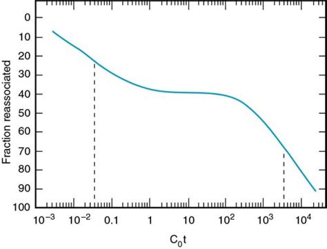 Dna Structural Transitions