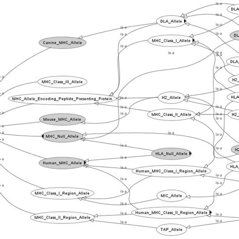 Multihierarchical Classification Of Mhc Alleles In Mahco Download