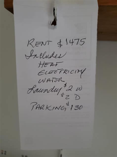 Daisy Umaskeddaisy Reddit