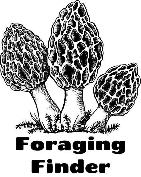 Patrick Jacobsen Wctc Portfolio Showcase