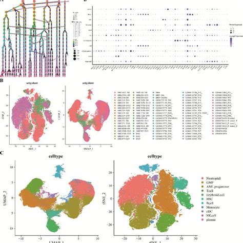 Heterogeneity In Acute Myeloid Leukemia Aml Cells A Marker Gene