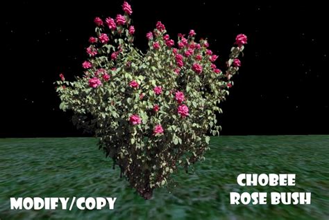 Second Life Marketplace Rose Bush Chobee