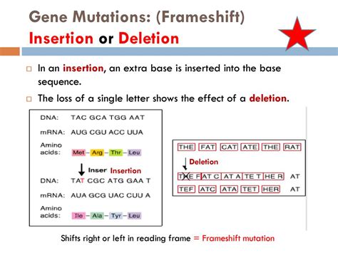 Unit 8 Protein Synthesis Ppt Download
