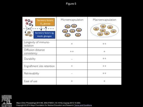 Emerging Medical Devices For Minimally Invasive Cell Therapy Ppt Download