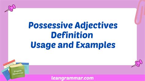 Mastering Possessive Adjectives Definition Usage And Examples