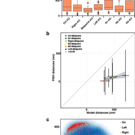 Validation Of Chromosome Dimensions And Occupancy By Dapi Staining Download Scientific