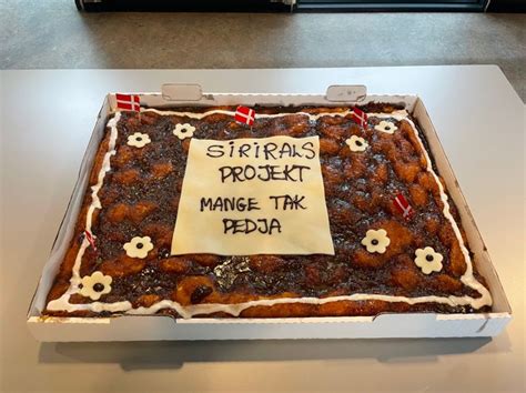 Surgery Research Sygehussønderjylland Afsnitforkirurgi Sirirals