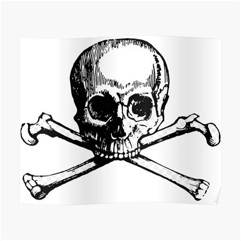 Kisspng Totenkopf Und Knochen Totenkopf Mit Gekreuzter Knochen