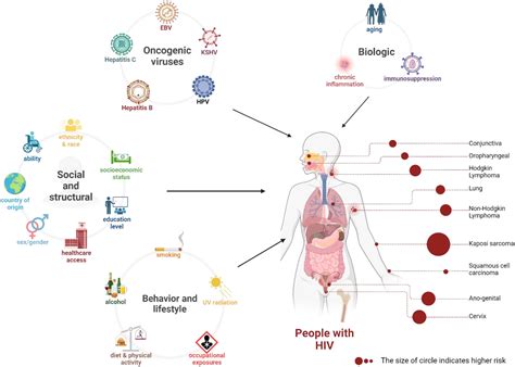 Cancer In People With Hiv Infectious Disease Clinics