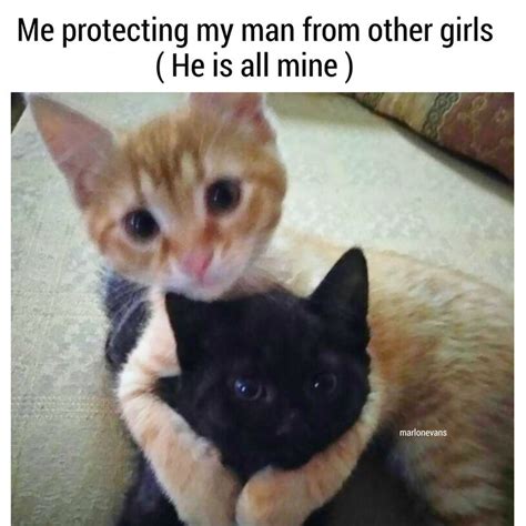 Me And You Protective Cat Meme Relationship Cat Memes Two Cats