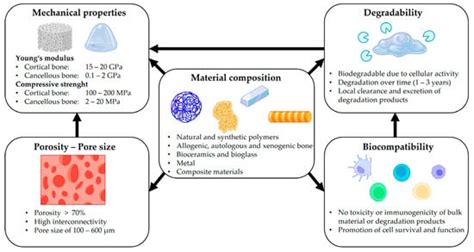 Computational Modelling and Simulation of Scaffolds for Bone Tissue Engineering