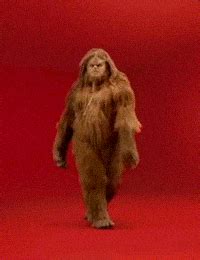 Hairy Girl Sexy Funny  500×650