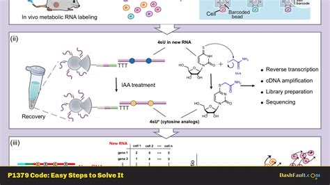 P1379 Code Easy Steps To Solve It