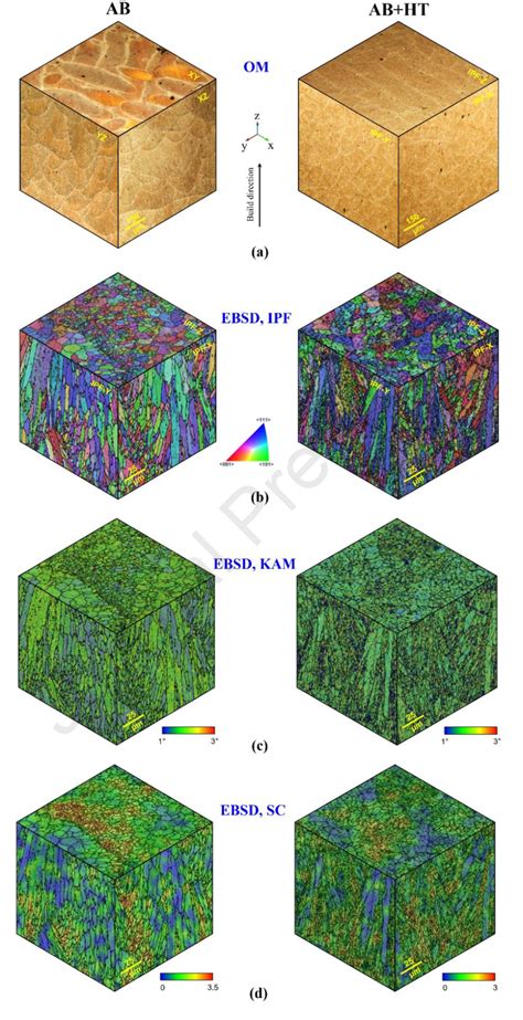 Typical Microstructure Of As Built Left Row And Heat Treated Right Download Scientific