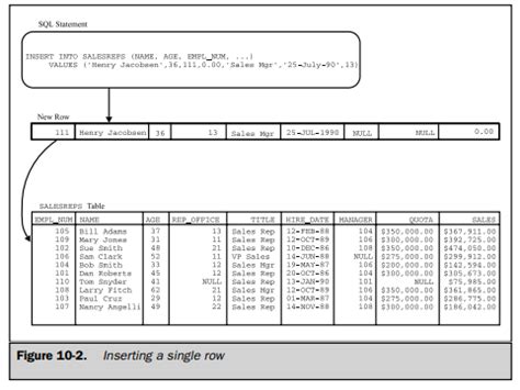 SQL Database Updates Adding Data To The Database HKT SOFT
