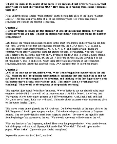 Bio 3321l Genetics Lab 4 Restriction Mapping