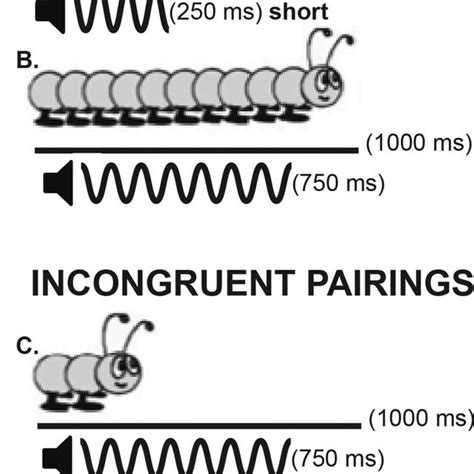 Topographical Scalp Maps For Components Of Interest As Viewed From The