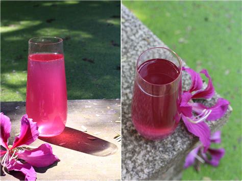 Kachnar Ka Achar And Other Ways To Enjoy Mantharai Flowers Pâticheri