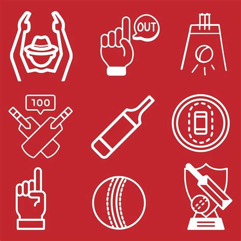 Premium Vector Cricket Elements Vector Set