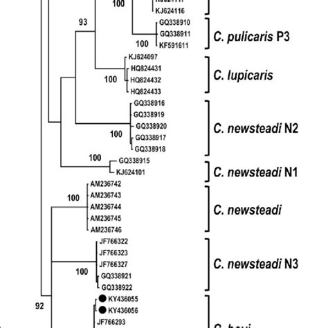 Unrooted Bayesian Tree Resulting From The Phylogenetic Analysis Of 72