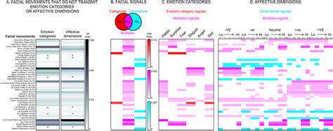 Figure S3 Facial Movements That Transmit Information About Emotion