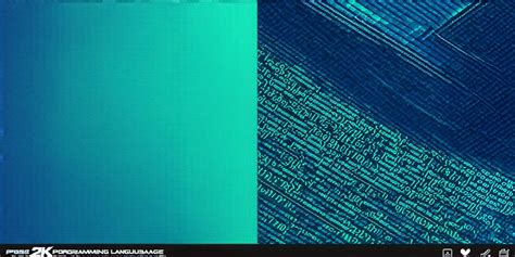 What Is P4 Programming Language