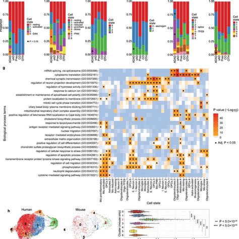 Snrna Seq Distinguishes Major Cell Types Using 67 Human Brains A Download Scientific Diagram