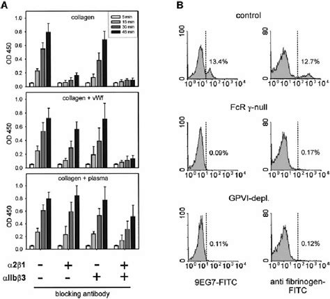 Platelet Adhesion To Collagen Is Mediated By At Richard Corbett Blog