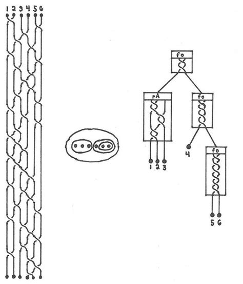 7 This Diagram Shows A Pure Braid On The Left A Representative