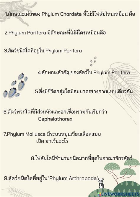 Studen Worksheet Live Worksheets