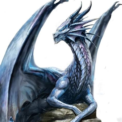 Oc Art Dandd Silver Dragon Dragon Artwork Silver Dragon Dragon