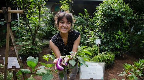 Fimela Figure Soraya Cassandra Dirikan Kebun Kumara Agar Berkebun Di