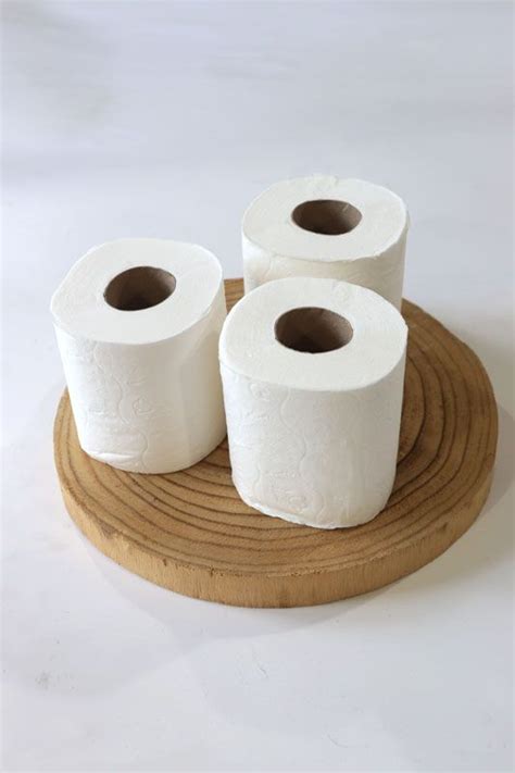 Ideas Creativas Con Papel Higiénico Diydetodounpoco