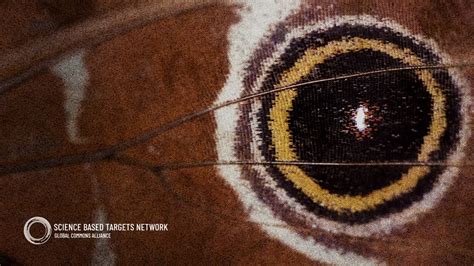 Barney Jackson On Linkedin Sbtn Biodiversity Naturebasedsolutions Naturalcapital