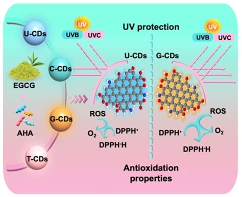 Development Of Carbon Dots Synthesized From Green Tea And Alpha