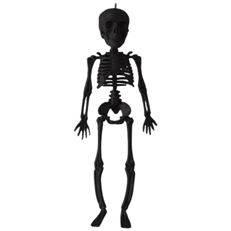 Halloween Small Skeletons Decorations 11 4 Full Body Posable Small Skeleton With Movable