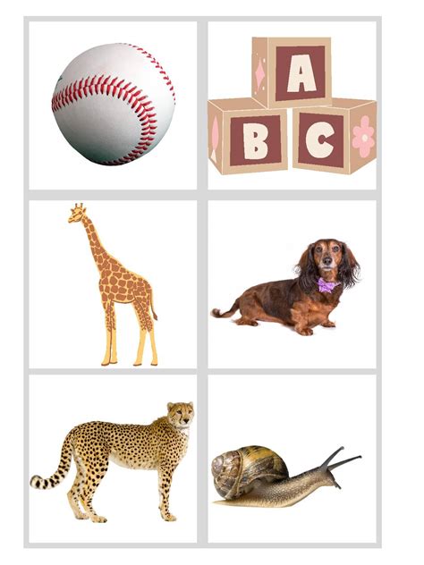 Ablls C24 Label Adjectives By Aba Stim Tpt