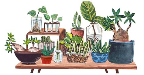 3 Easy Ways To Propagate Plants You Have At Home Chatelaine