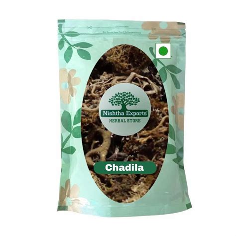 Chadila Charila Chareela चडीला Stone Flower Patthar Phool Dagad Phool Parmelia Perlata Raw Herbs